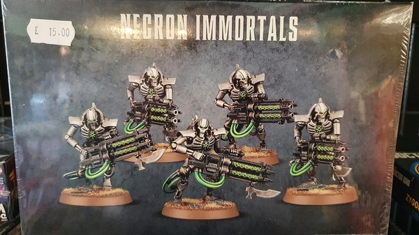 Warhammer 40k Necron Immortals/Chalk Garden Rail