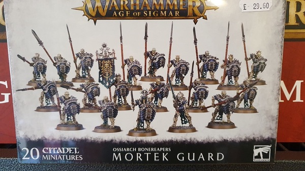 Warhammer Mortek Guard/Chalk Garden Rail